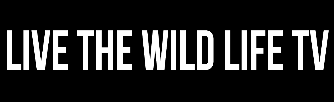 Live the Wild Life TV with Gus Congemi